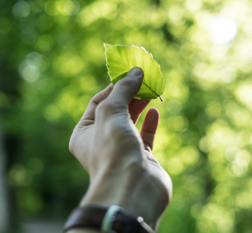 Sobre nós - Powerdot